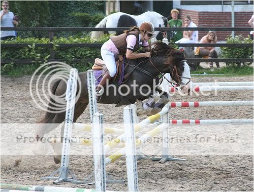 Tinker Bonny @ Springen home • Bokt.nl