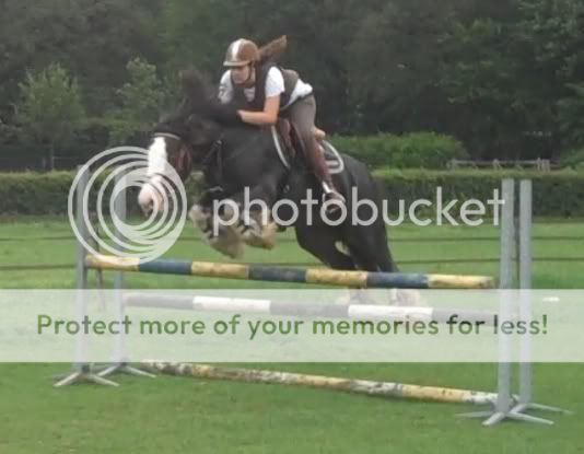 Tinker Bonny @ Springen home • Bokt.nl