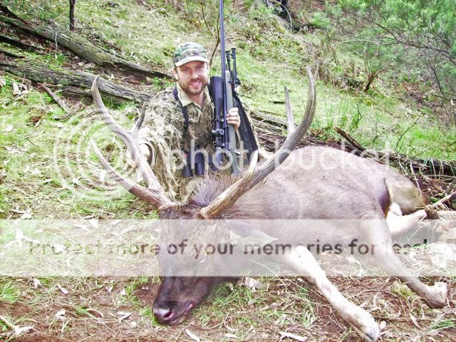 I love this gun !! 338 edge .defensive edge inc | Long Range Hunting ...