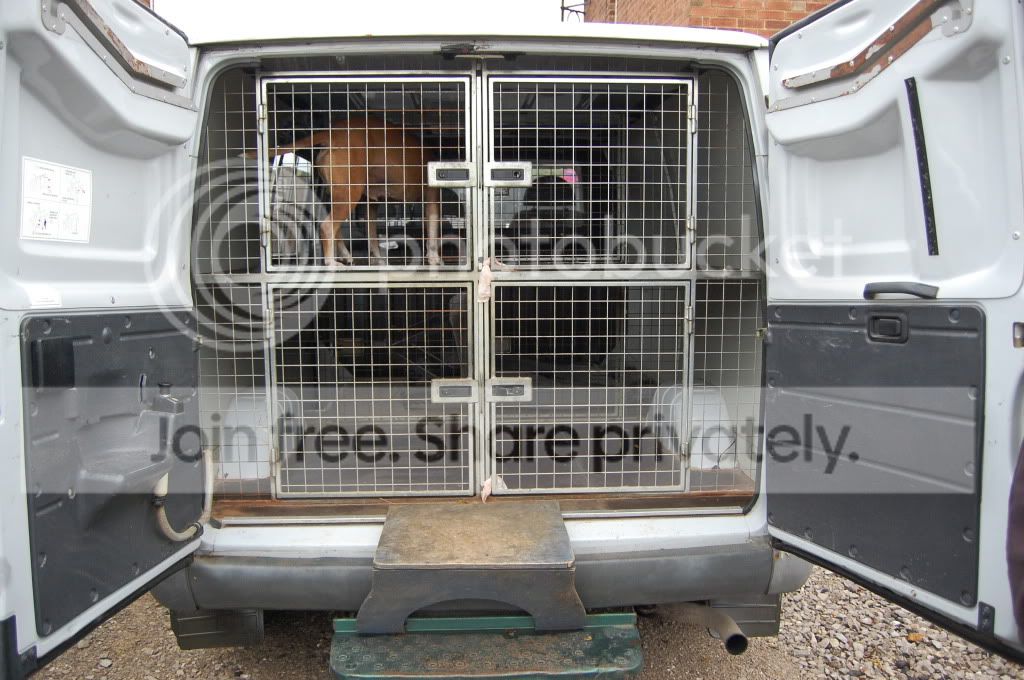 Ford Transit Forum • View topic - the dog wagon